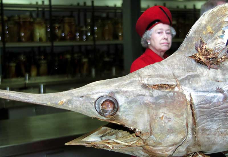 Rotana launches Operation Swordfish to cut costs - Hotelier Middle East