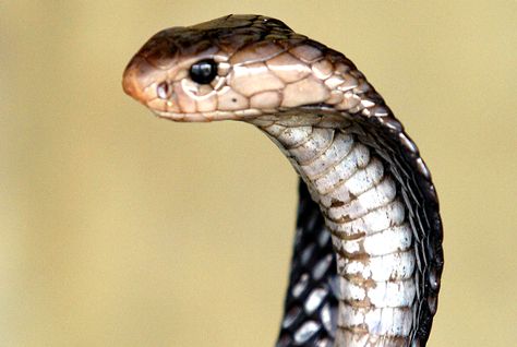 Oman airport reopens after crash landing - Hotelier Middle East