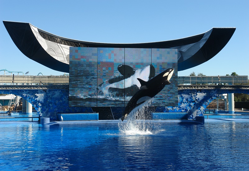 Anti-Sea World petition has over 50,000 signatures - Hotelier Middle East