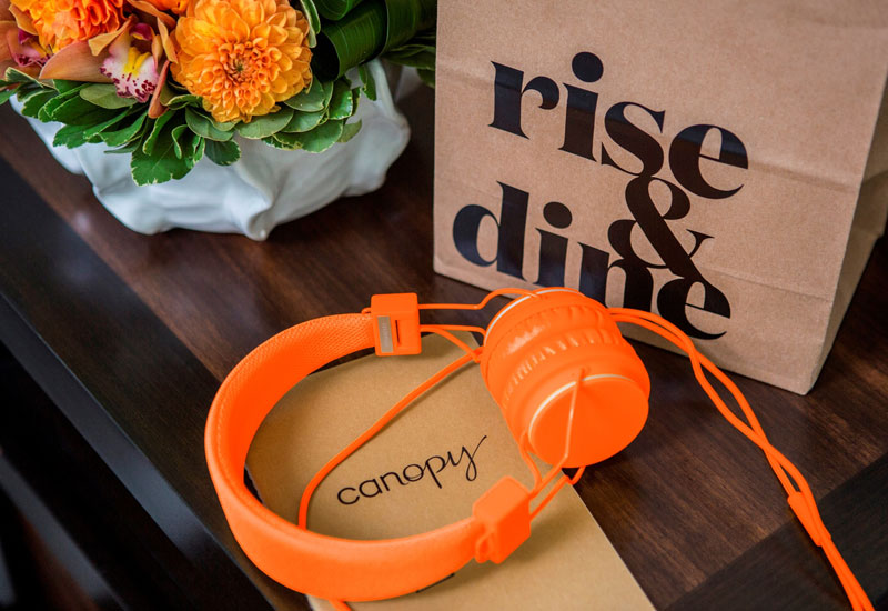 Q&A: Hilton on new lifestyle brand Canopy - Hotelier Middle East