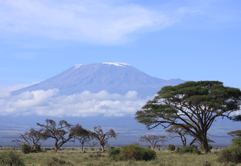 MMI steps into mainland Africa with Tanzania arm - Hotelier Middle East