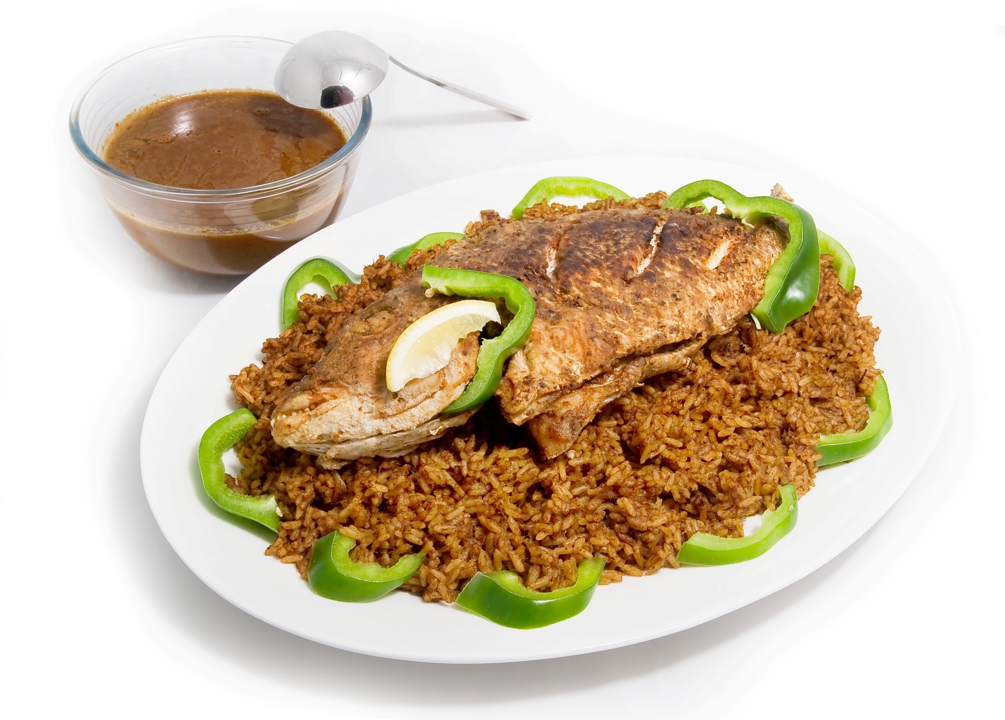 Emirates Wildlife Society launches fishy challenge - Hotelier Middle East