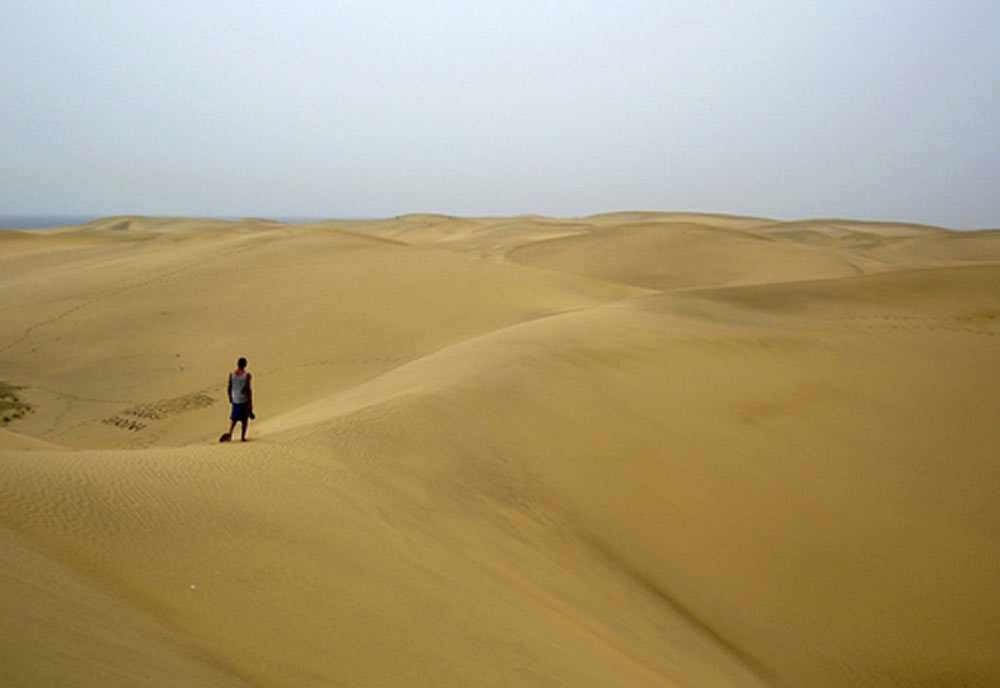 Stranded In A Desert