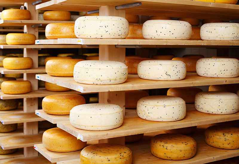 Ingredient Focus 2015: Cheese - Hotelier Middle East