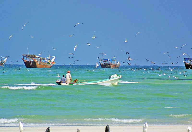Oman claims Duqm is 'most promising' tourism hub - Hotelier Middle East