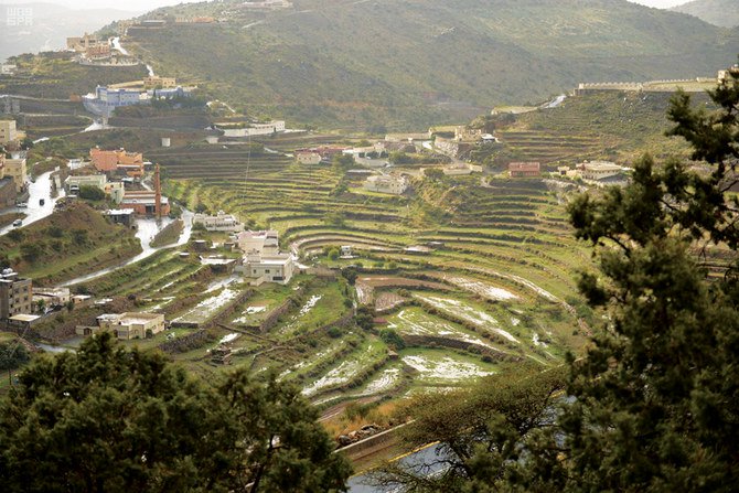 Saudi Arabia's Taif season creates 15,000 jobs amid tourism boom ...