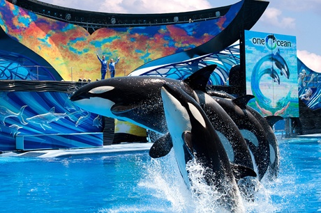 Seaworld plotting Middle East theme parks - Hotelier Middle East