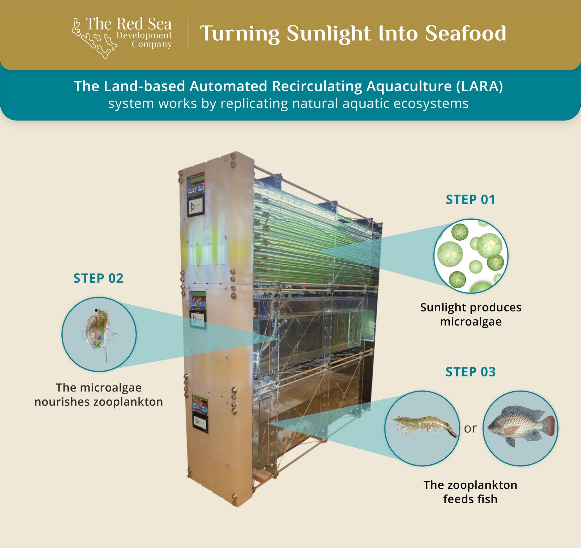 TRSDC pushes the boat on sustainable seafood in Saudi - Hotelier Middle ...