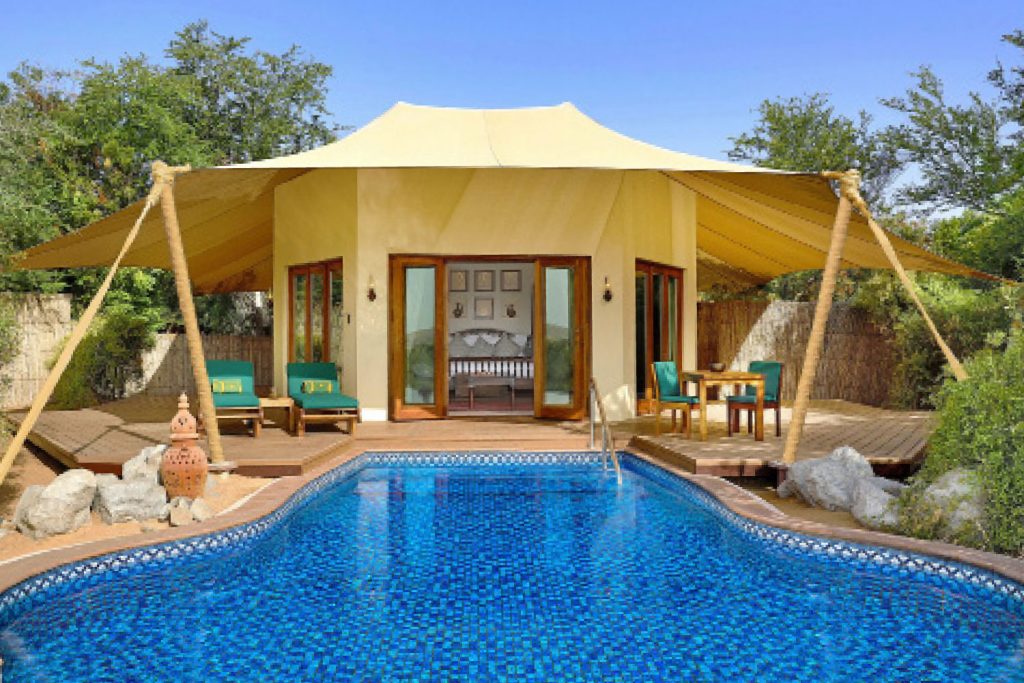 Meet the new senior field guide at Al Maha Desert Resort in Dubai ...