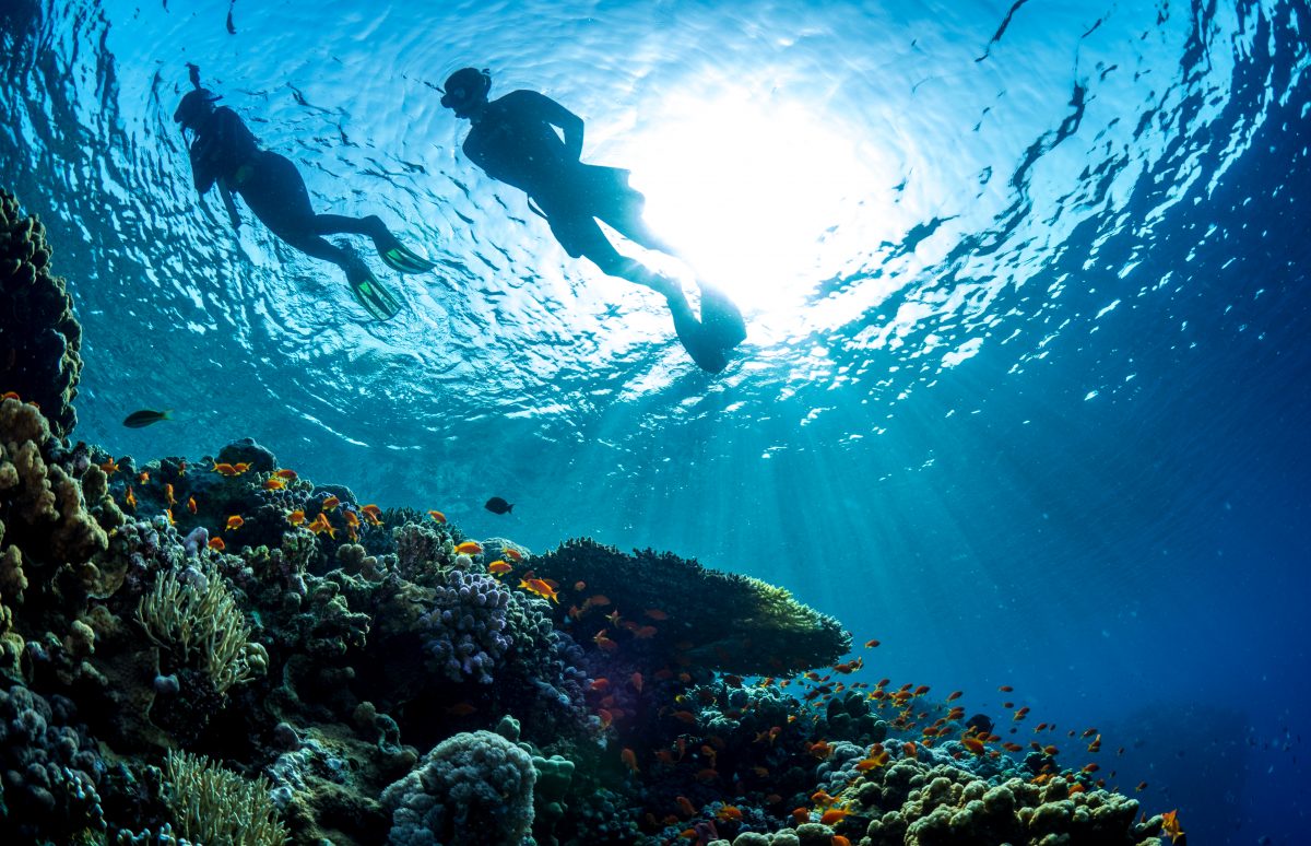 1.5 million annual visitor cap at Saudi Arabia's Red Sea and Amaala ...