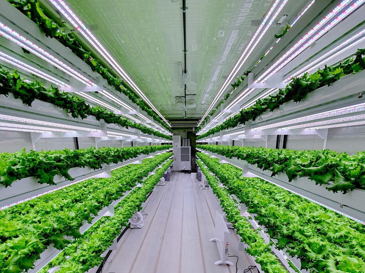 PIF to build vertical indoor farms across the region to supply hotels ...