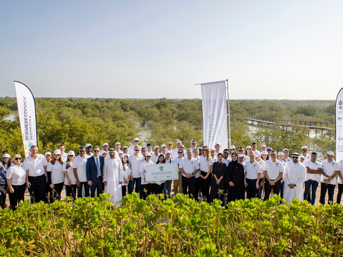 Etihad and Marriott complete 12,000-tree mangrove forest in Abu Dhabi ...
