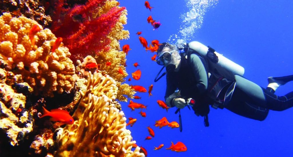 Introducing Shushah Island: NEOM's newest super-luxury beach club haven ...