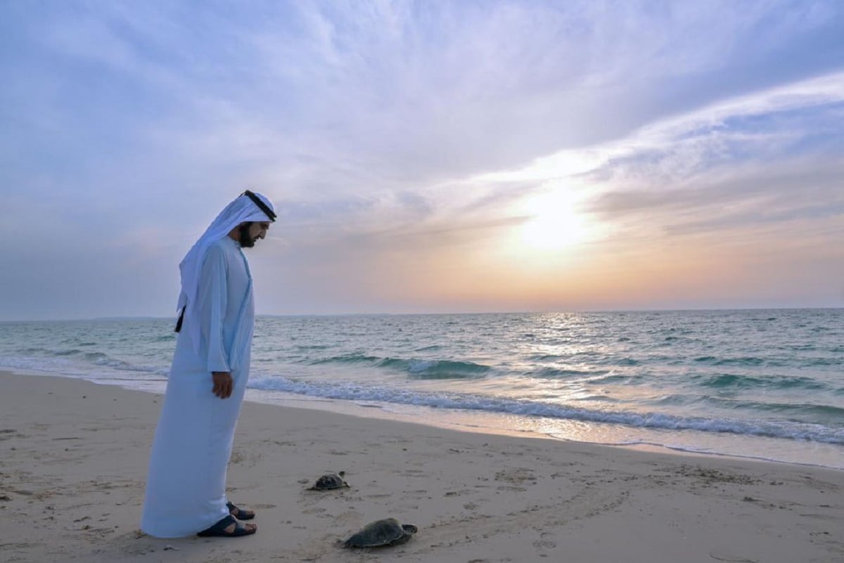 Dubai ruler's plan to introduce five times the number of public beaches ...
