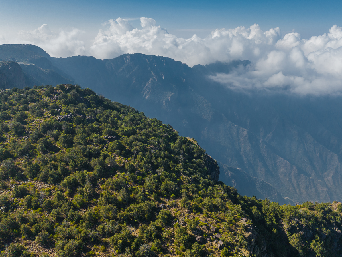 Saudi Arabia's US$7.7 billion Soudah Peaks mountain tourism plan ...