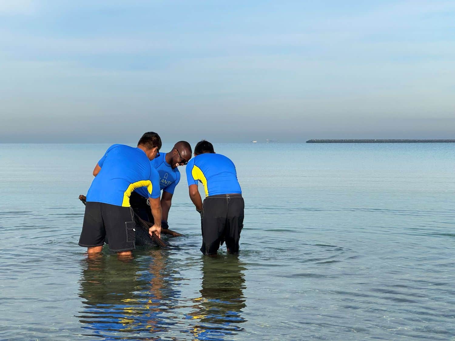Atlantis Dubai releases native marine species to support conservation ...
