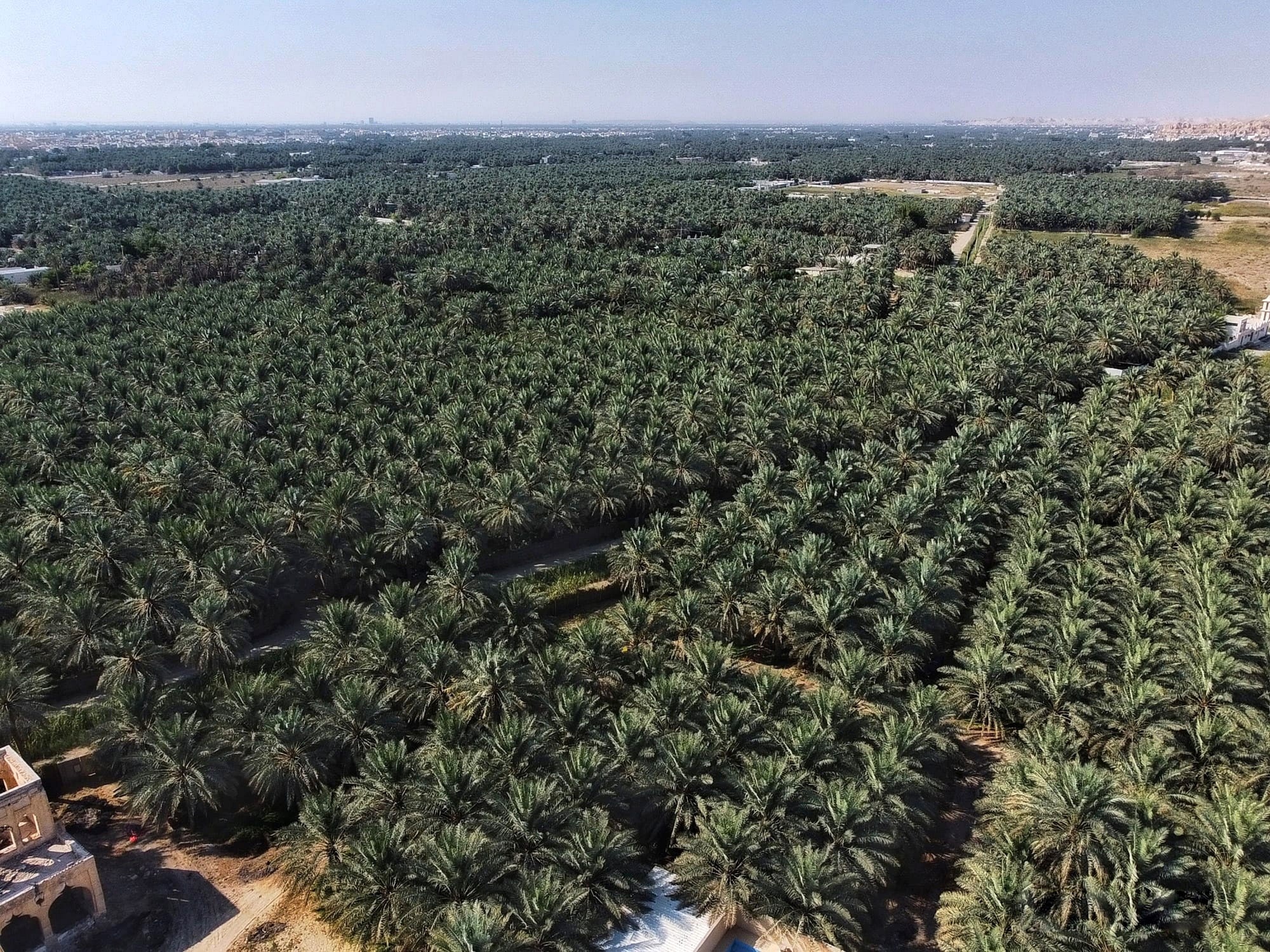 Saudi Tourism Authority drives SAR2 billion tourism projects in Al-Ahsa ...