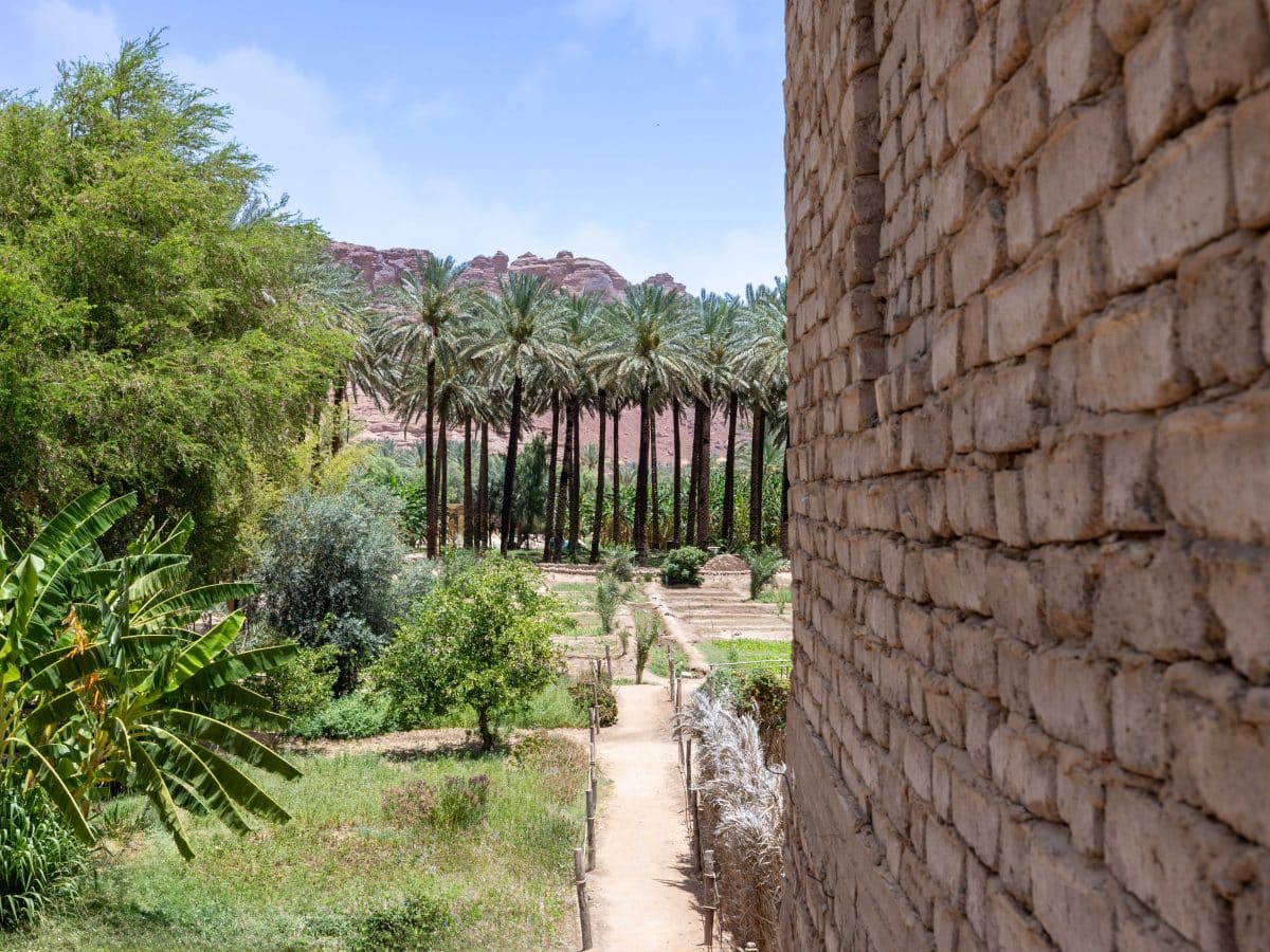 Royal Commission for AlUla releases first annual sustainability report ...