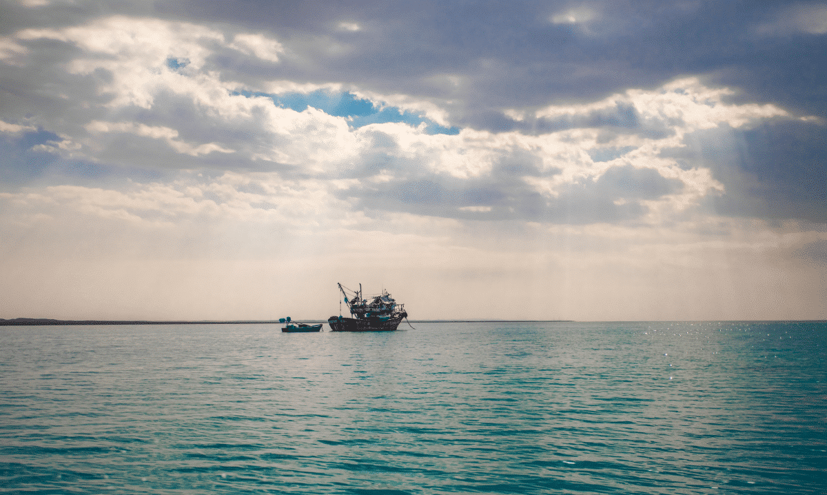 Red Sea Global, KAUST & Aptamind Partners advocate regenerative tourism ...